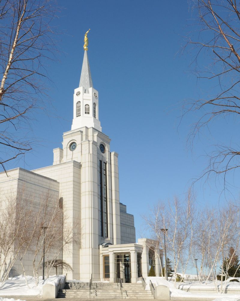 Flowers on the Grounds of the Boston Massachusetts Temple