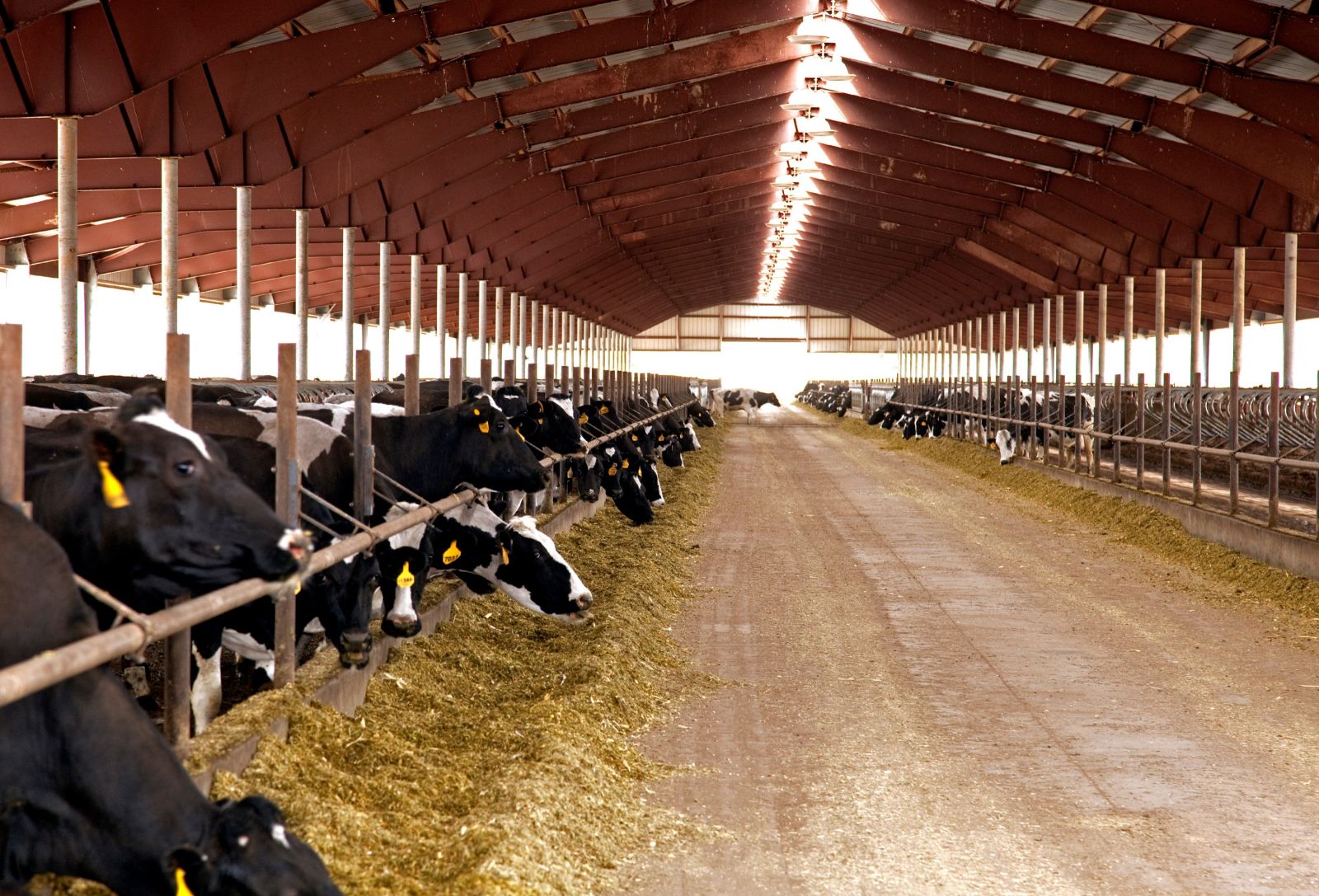 Welfare Facilities—Bishops’ Storehouse