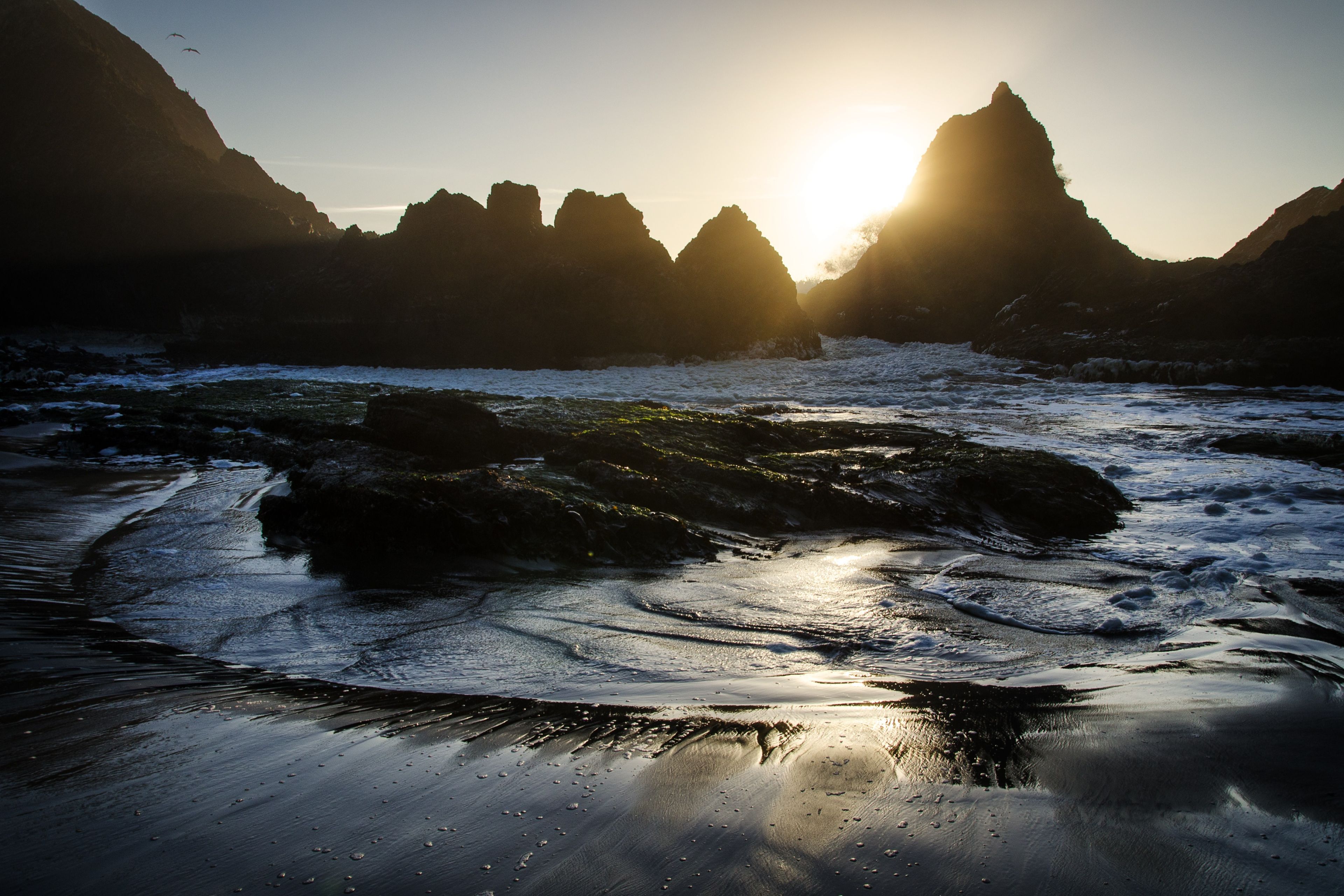 Oregon Beach