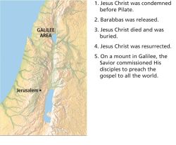 New Testament Teacher Manual