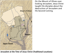 New Testament Teacher Manual