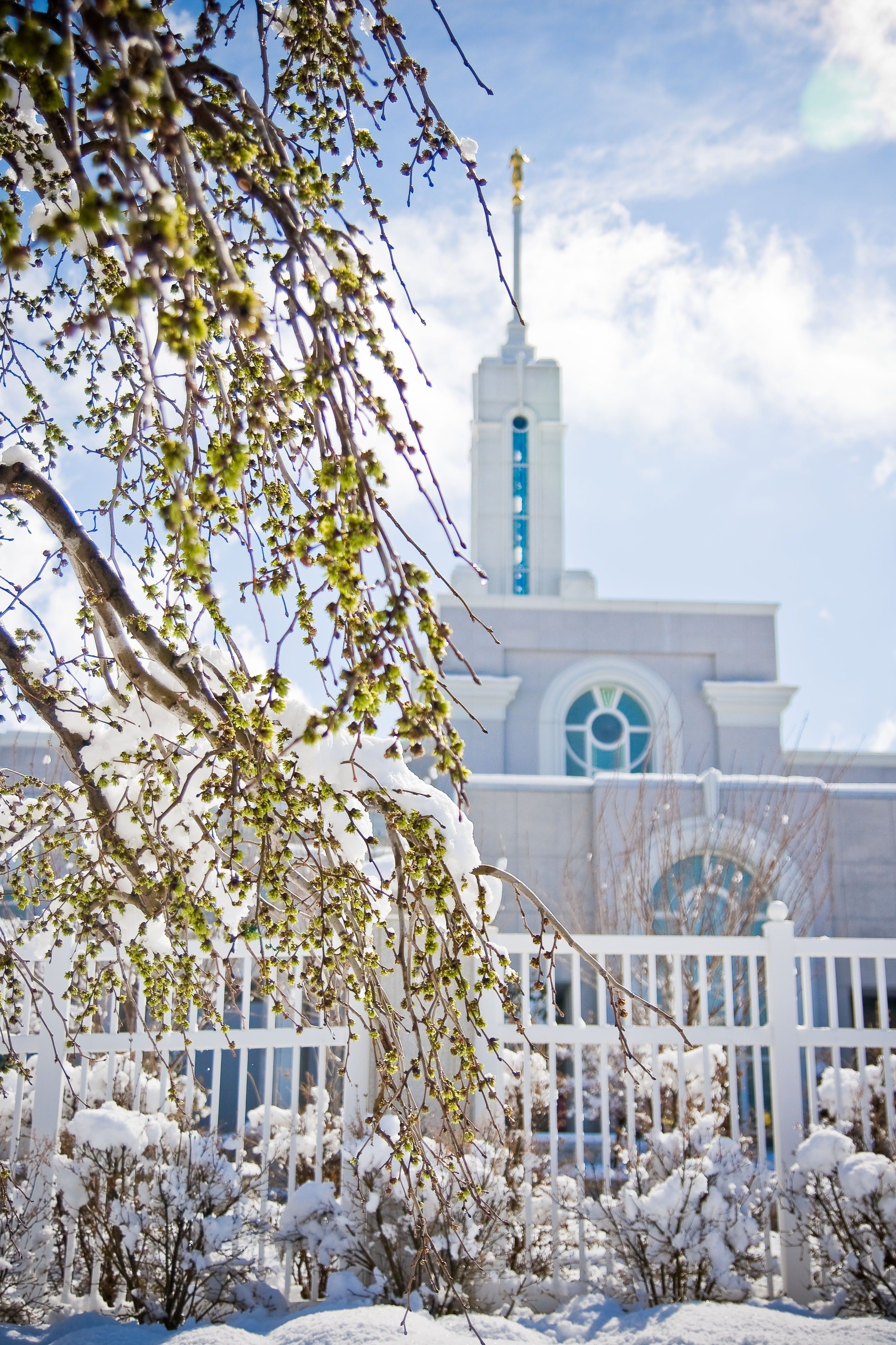 Mount Timpanogos Utah Temple