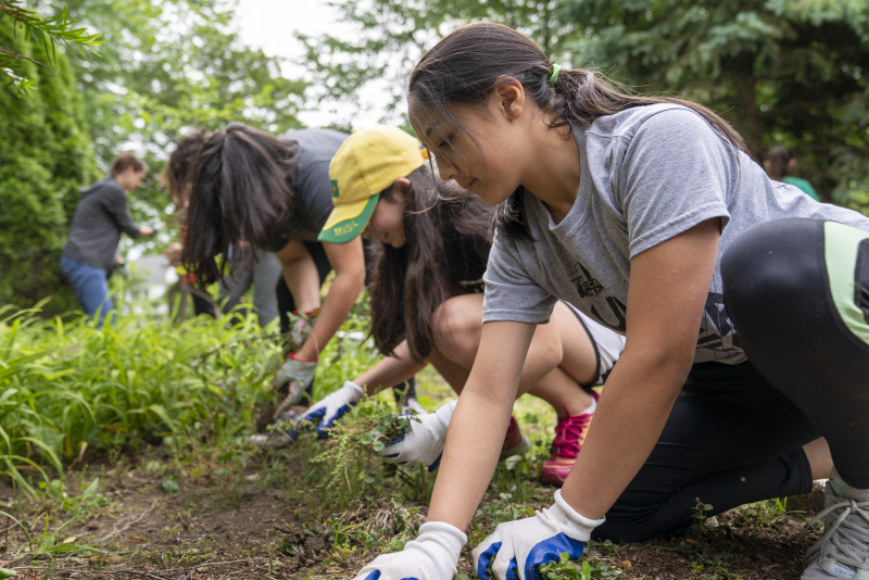 Service and Activities