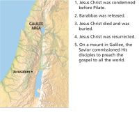 New Testament Teacher Manual