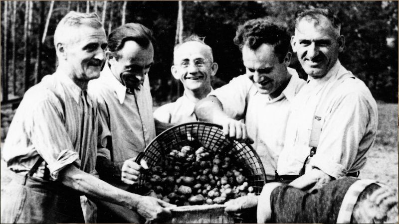 That We Might Be One: The Story of the Dutch Potato Project