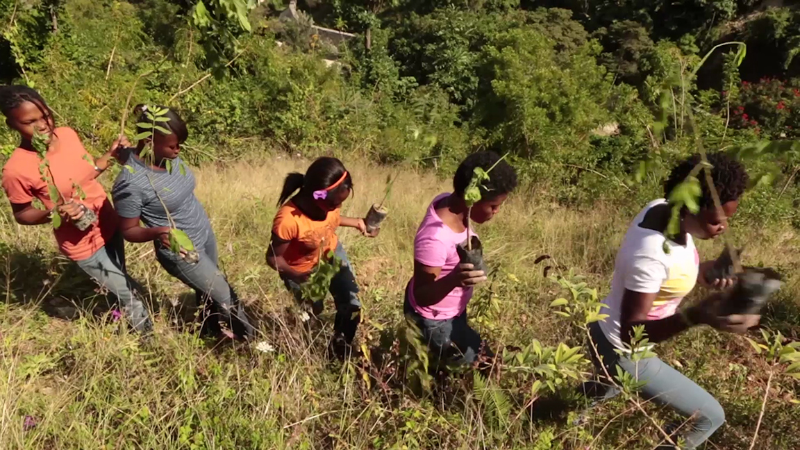 “A Tree Is Life”: Planting Trees in Haiti for Future Generations