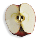 Jesus Praying in Gethsemane (Christ in Gethsemane)