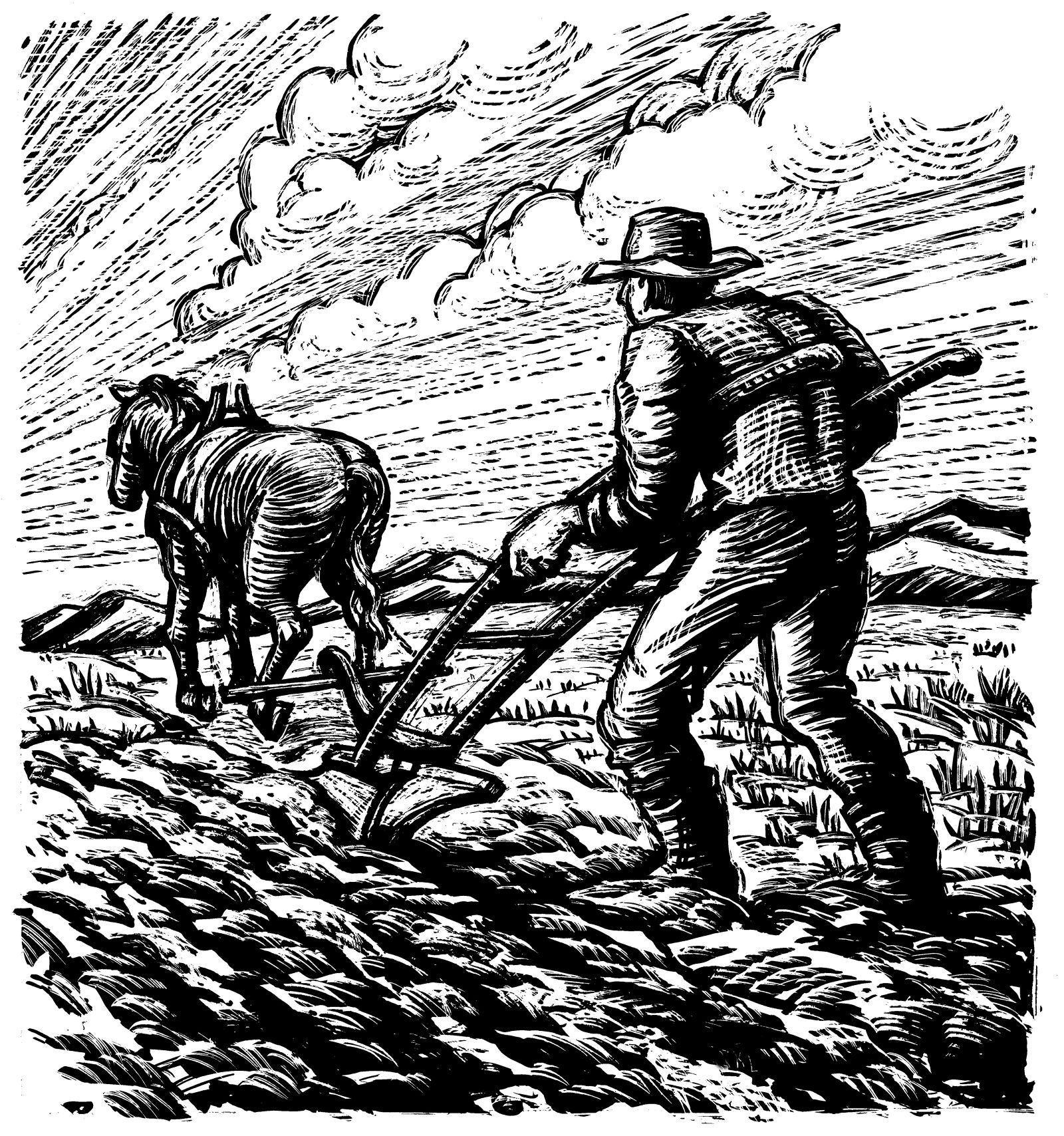 Cultivation And Harvest cultivation-and-harvest