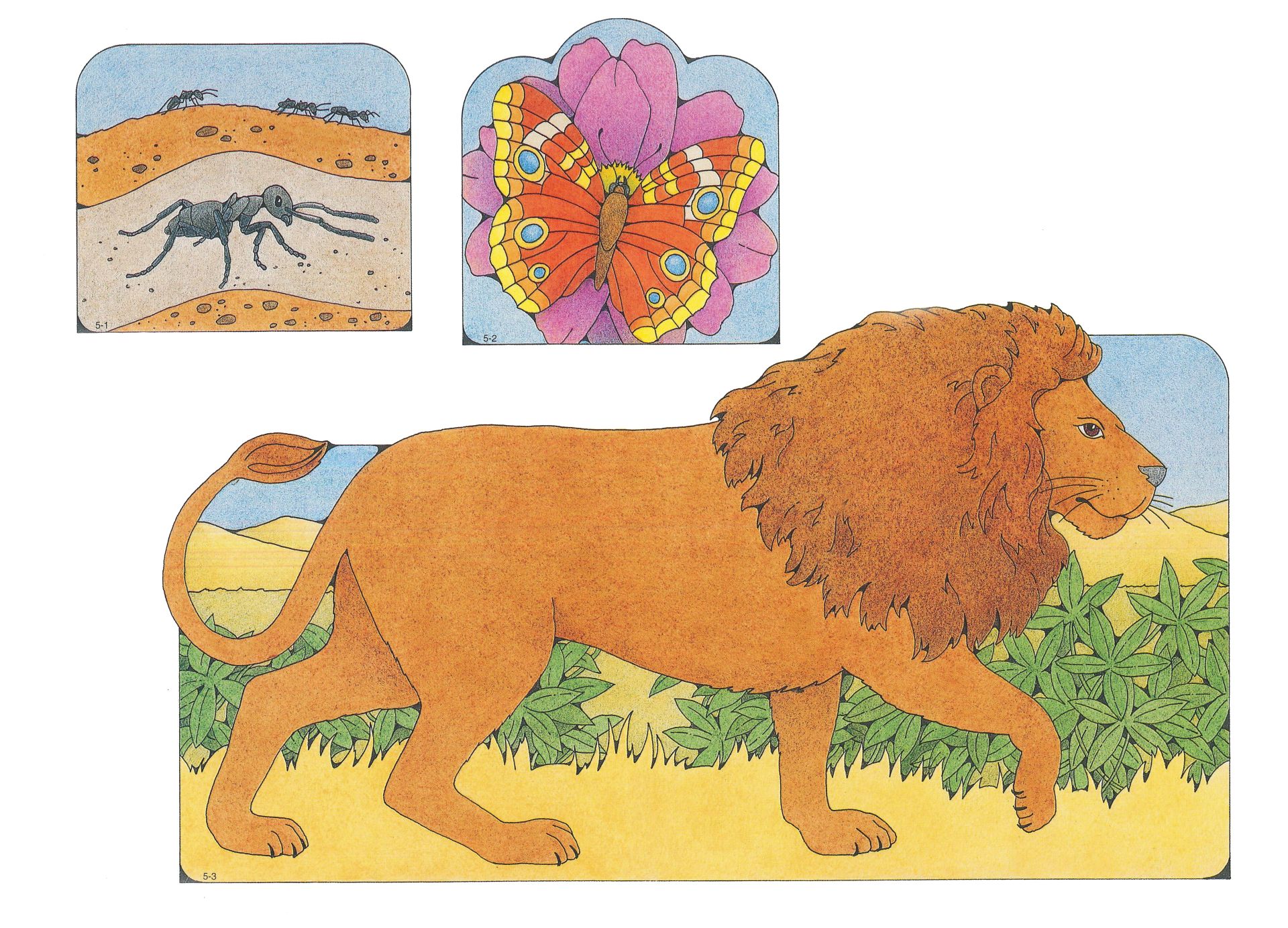 Primary Visual Aids: Cutouts 5-1, Ants; 5-2, Butterfly; 5-3, Lion