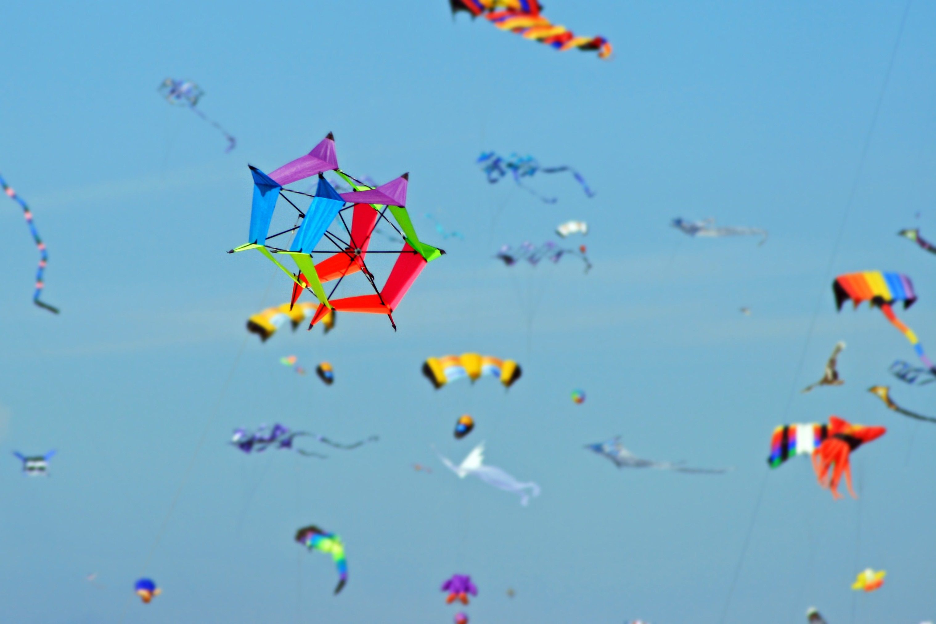Kites Kites