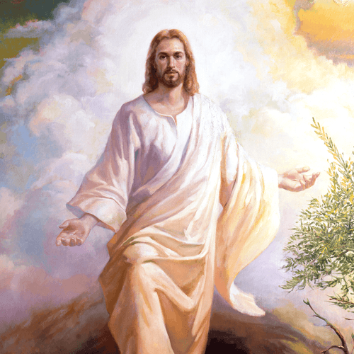 Why does God let bad things happen to good people?