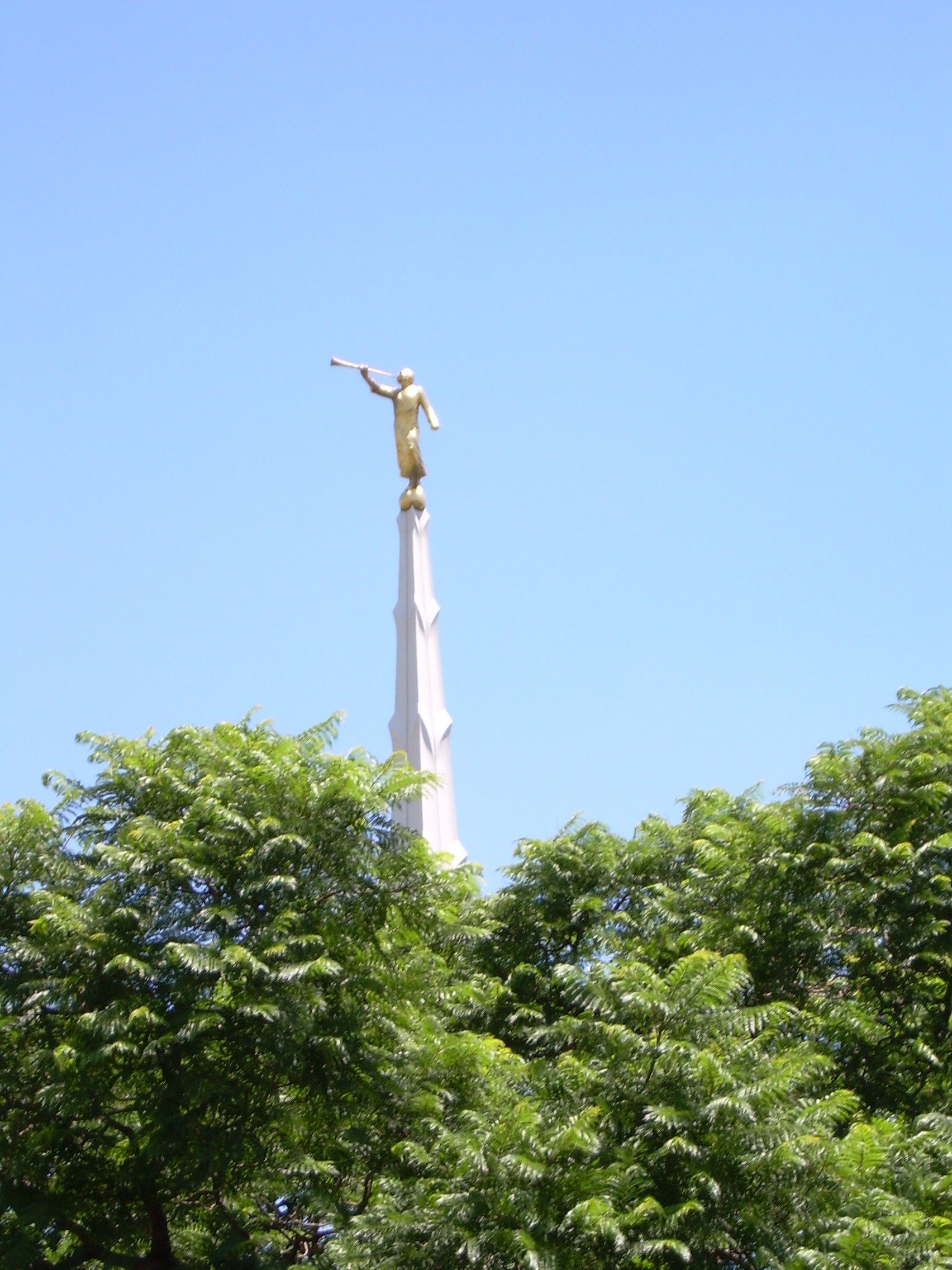 The Johannesburg South Africa Temple Spire