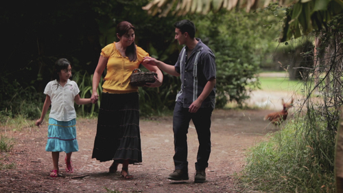 Don T Kill The Chickens Part Ii