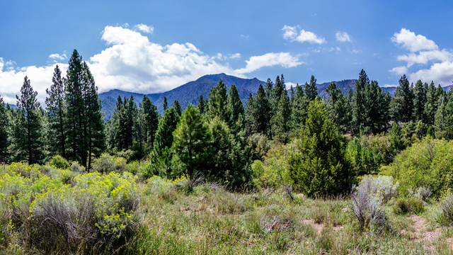 Pine Valley: More than a Chapel