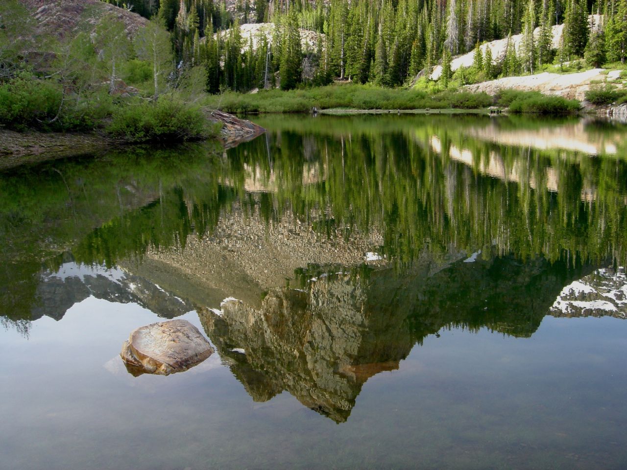 Rocks in Water
