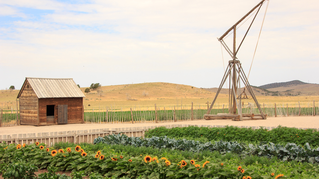 What to Expect When You Visit the Cove Fort Historic Site