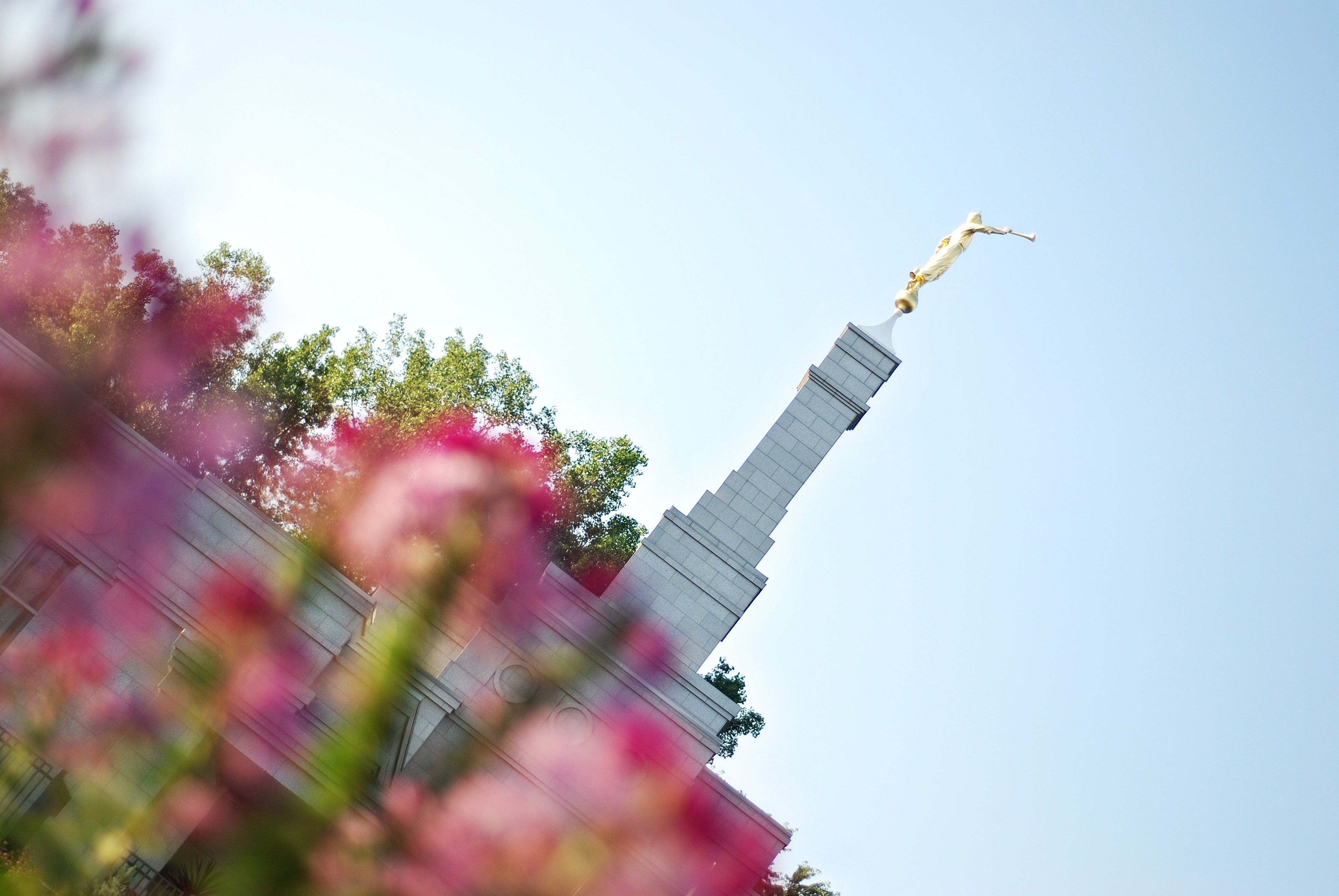St. Paul Minnesota Temple in the Evening