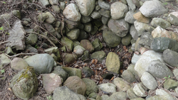 Life on the Smith Farm