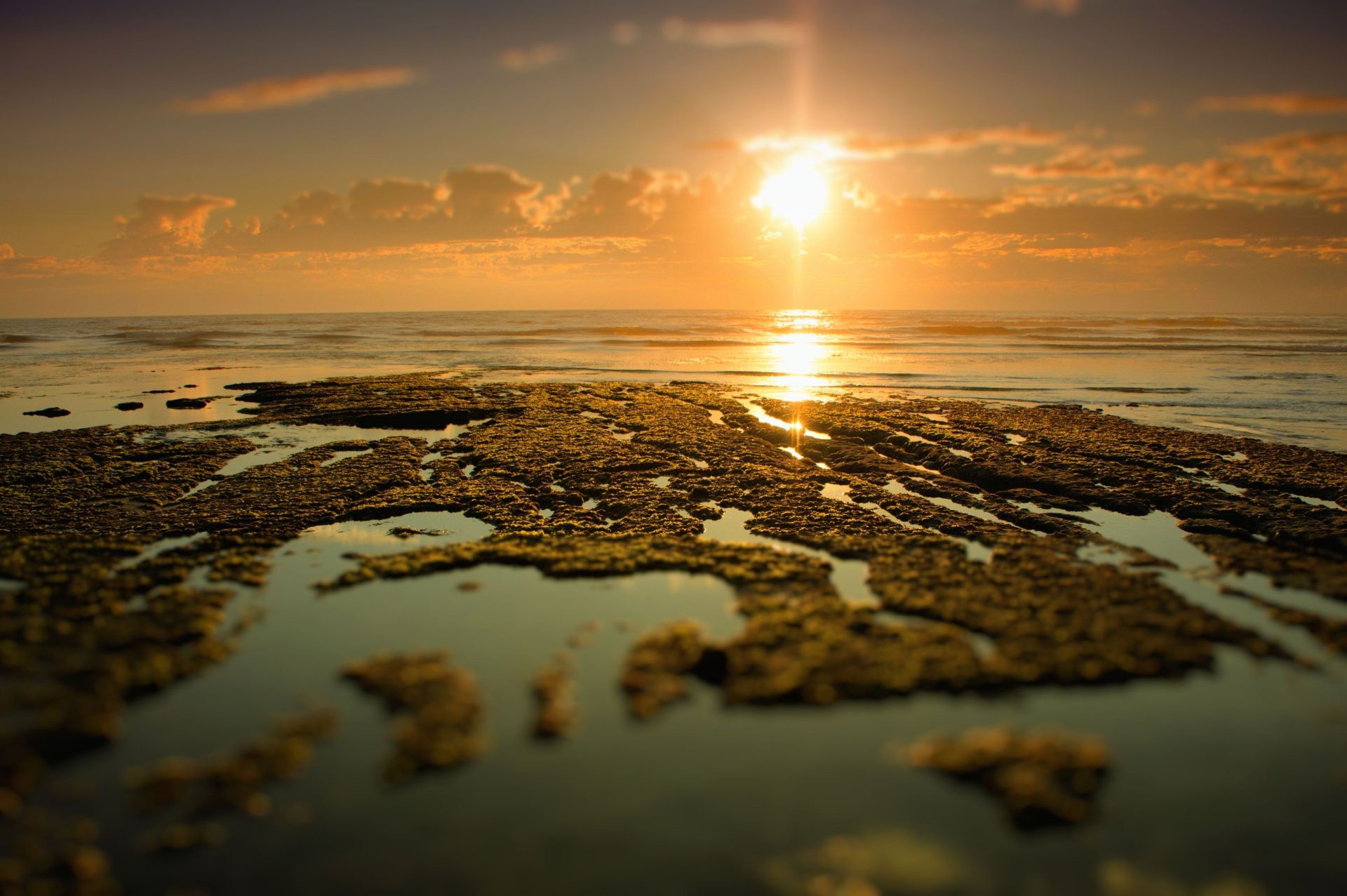 The Great Salt Lake at Sunset
