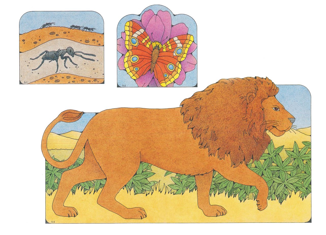 Primary Visual Aids: Cutouts 5-1, Ants; 5-2, Butterfly; 5-3, Lion