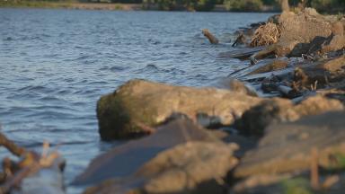 Jane Neyman and the First Proxy Baptisms