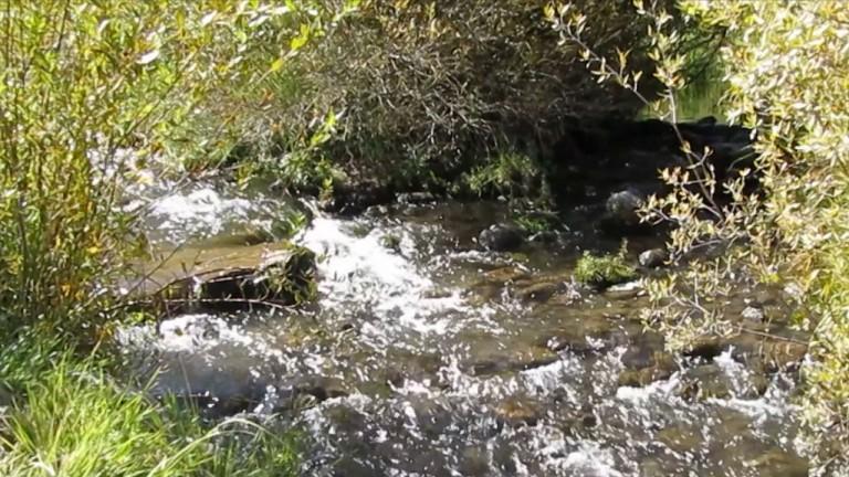 Give Said the Little Stream