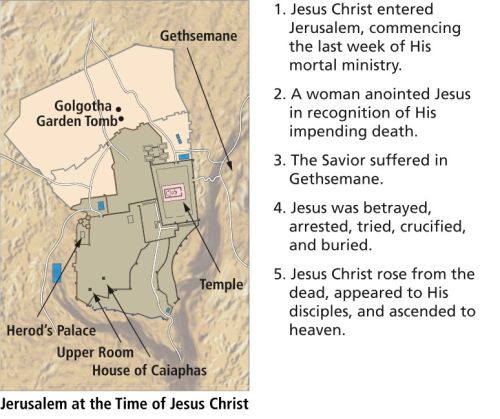 New Testament Student Manual