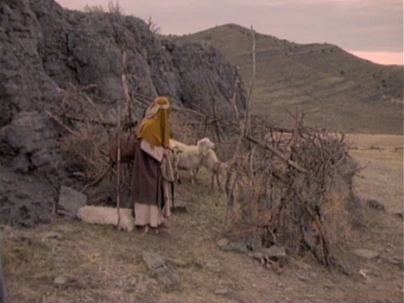 Lesson 16: New Testament Customs—Shepherd and Sheepfold