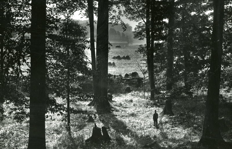 The First Vision: A Narrative from Joseph Smith’s Accounts