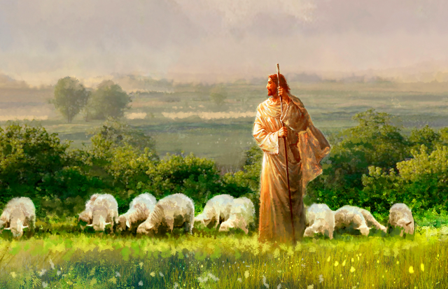 Bishops—Shepherds Over the Lord’s Flock | Zion Wisdom