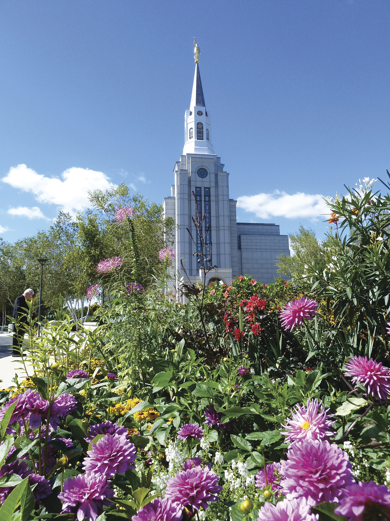 Flowers on the Grounds of the Boston Massachusetts Temple