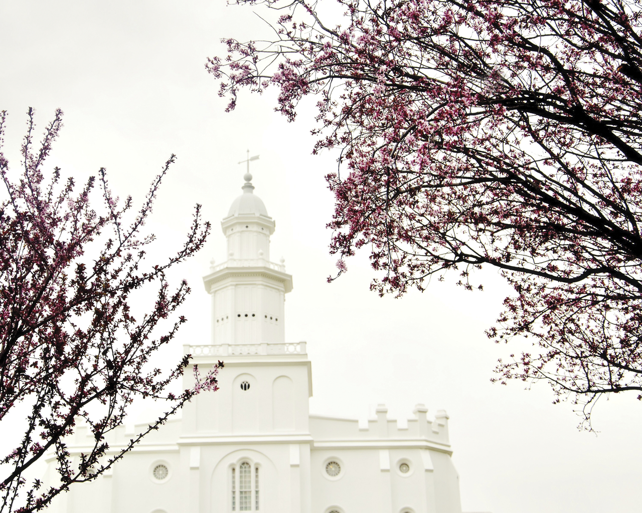 St. George Utah Temple in the Spring