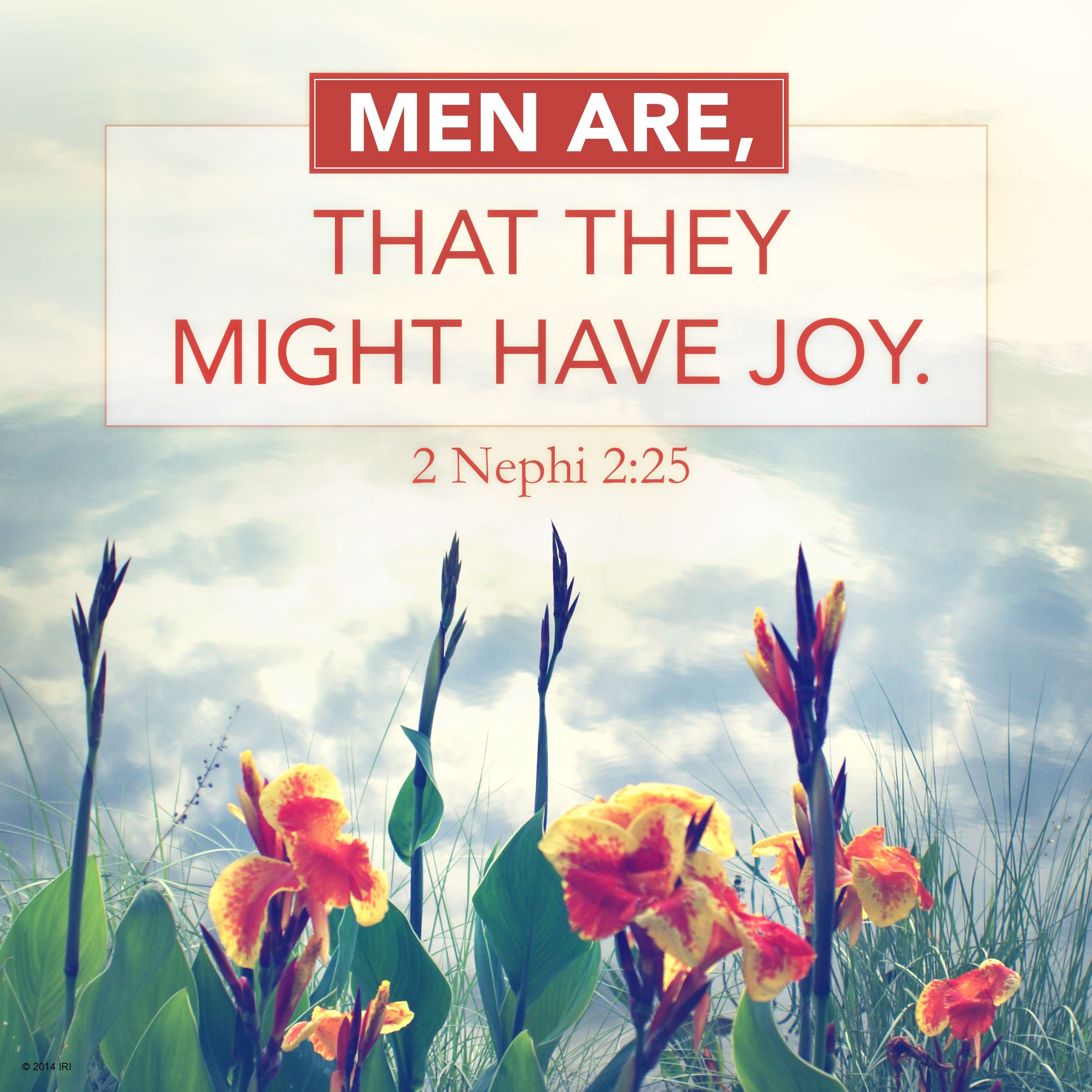 That Your Joy Might Be Full | 16 February 2022 | LDS Daily