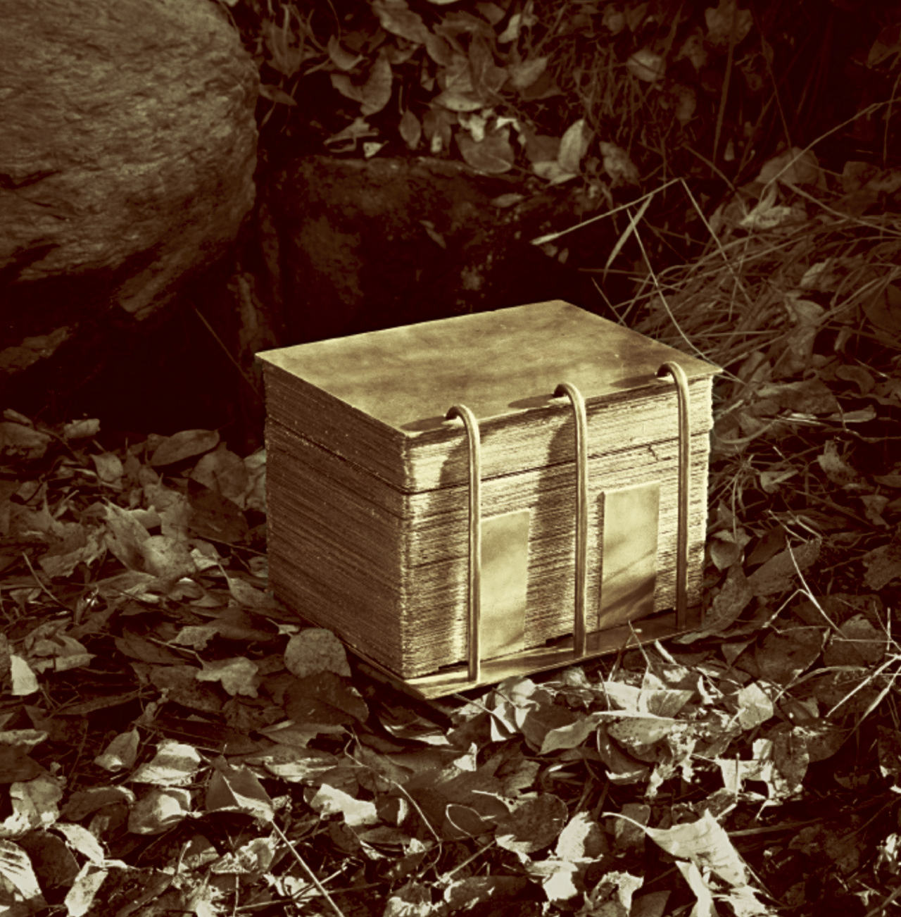 Two Thousand Young Warriors (Two Thousand Stripling Warriors)