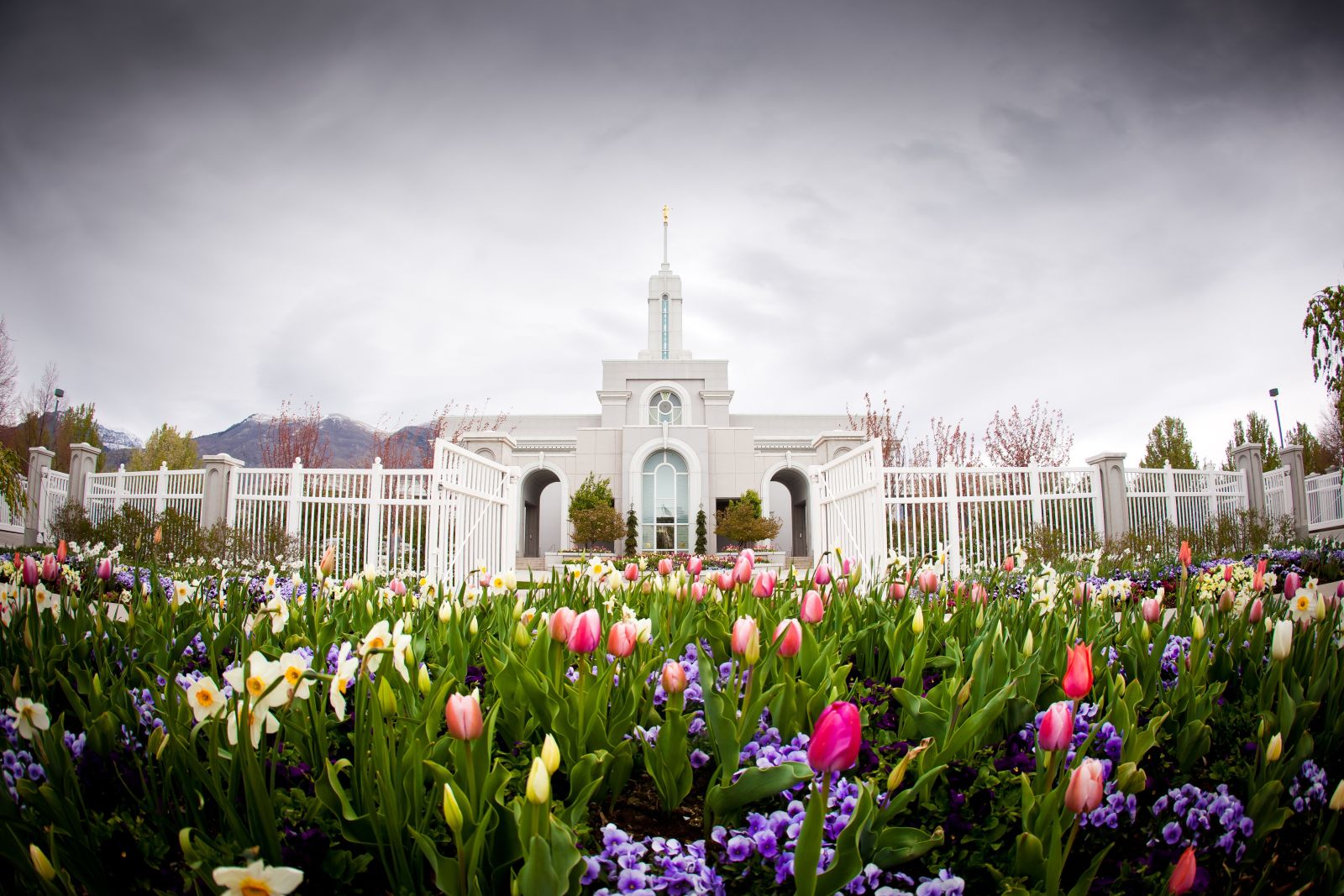 Mount Timpanogos Utah Temple