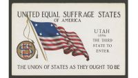 Government and the National Suffrage Movement