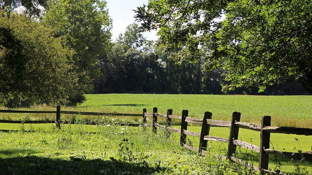 Peter and Mary Whitmer Log Home in Fayette, NY.