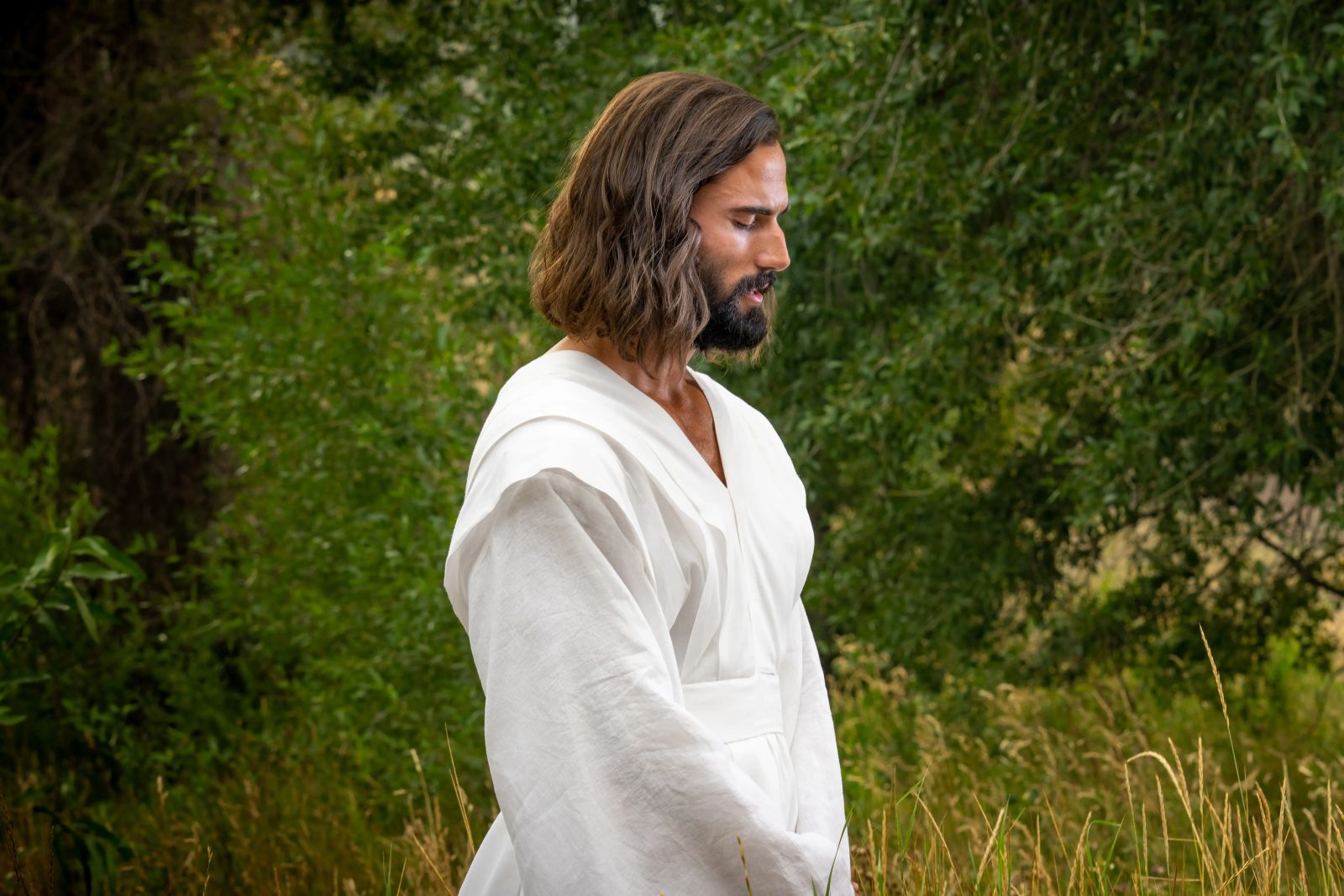 Christ Prays Alone