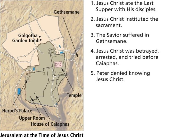 New Testament Student Manual