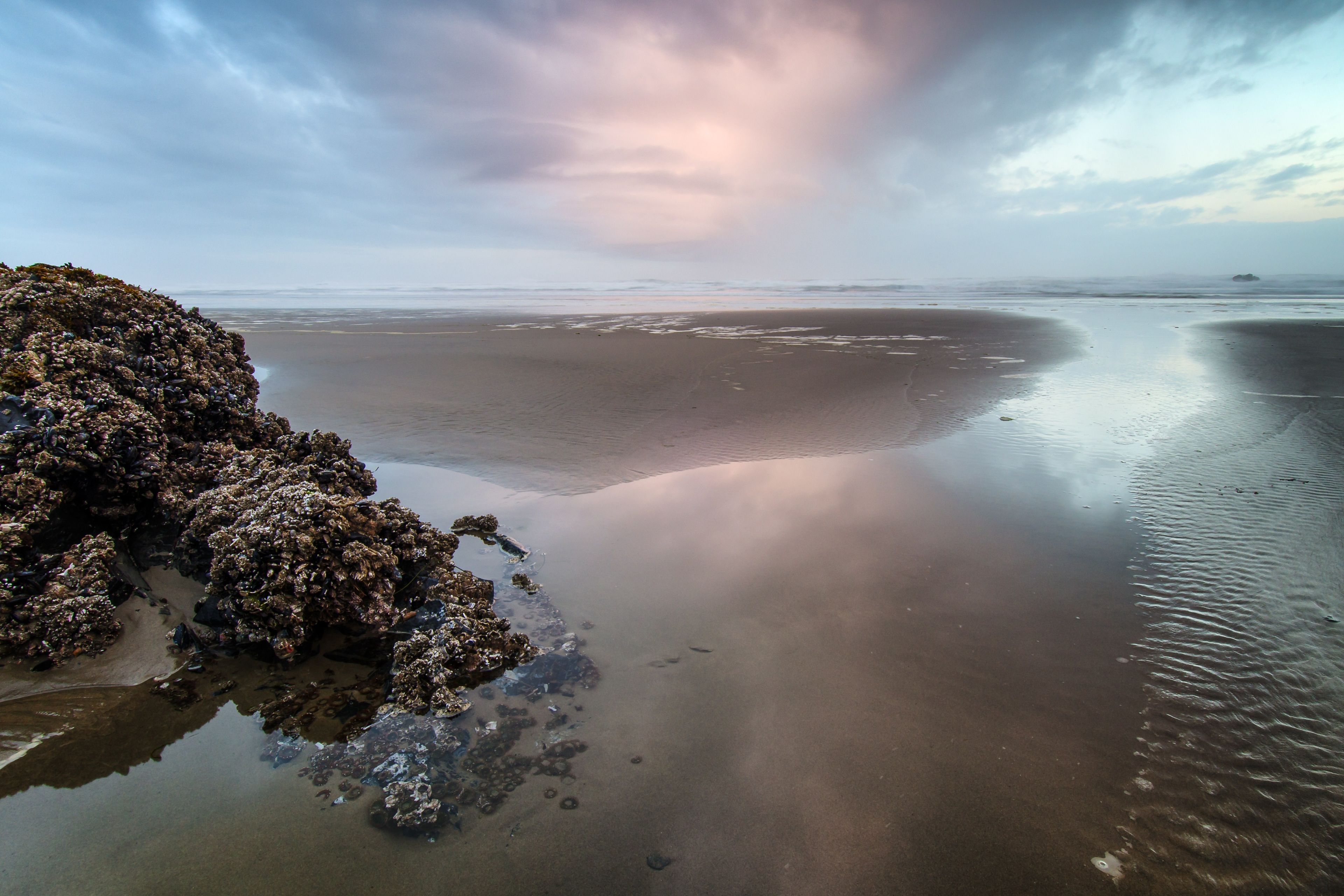 Oregon Beach
