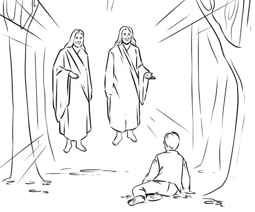 Answer True or False Questions