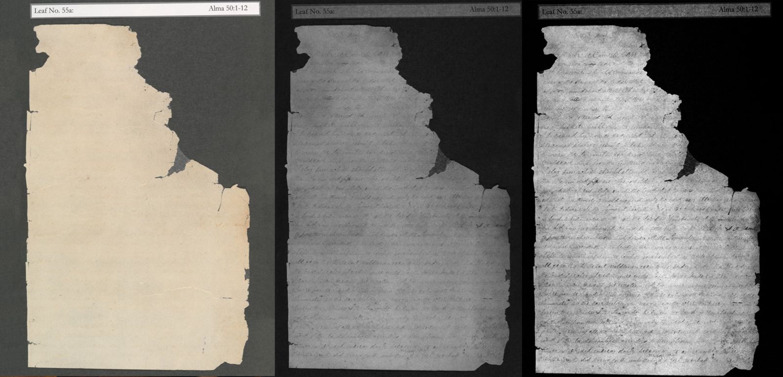 The Original Book of Mormon Manuscript: From Analog to Digital