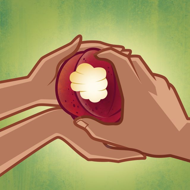 Old Testament Stories