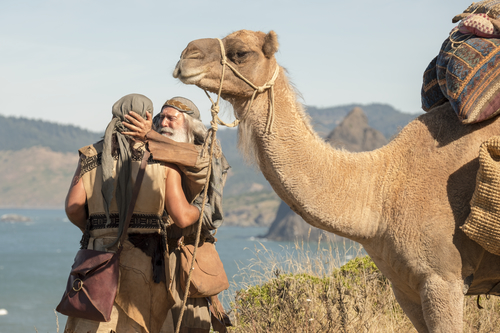Lehi's family gathering food