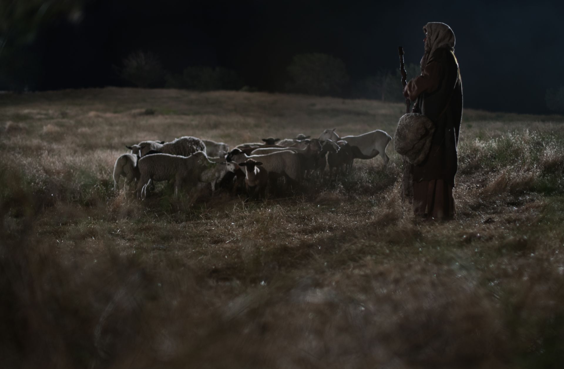 Shepherds Visit Christ at His Birth
