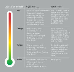 Managing Stress in Stressful Times