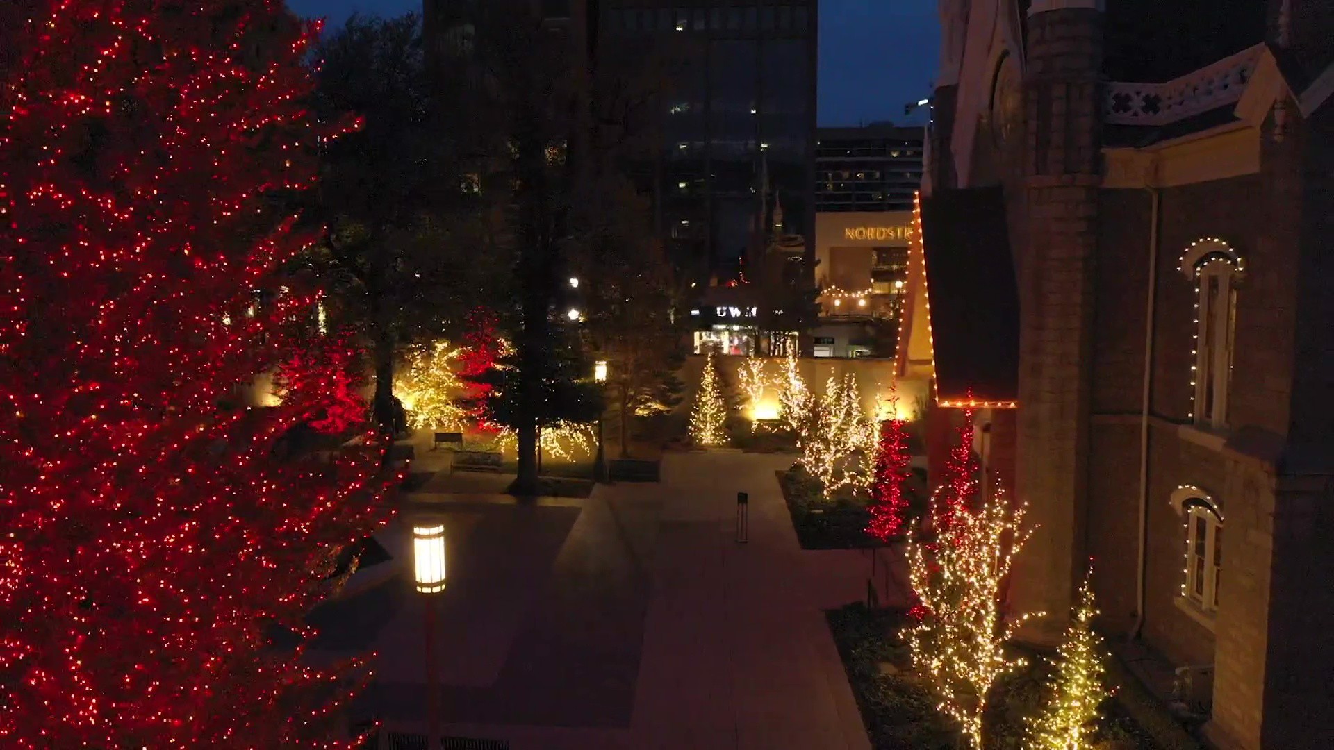 Celebrating the Light of the World