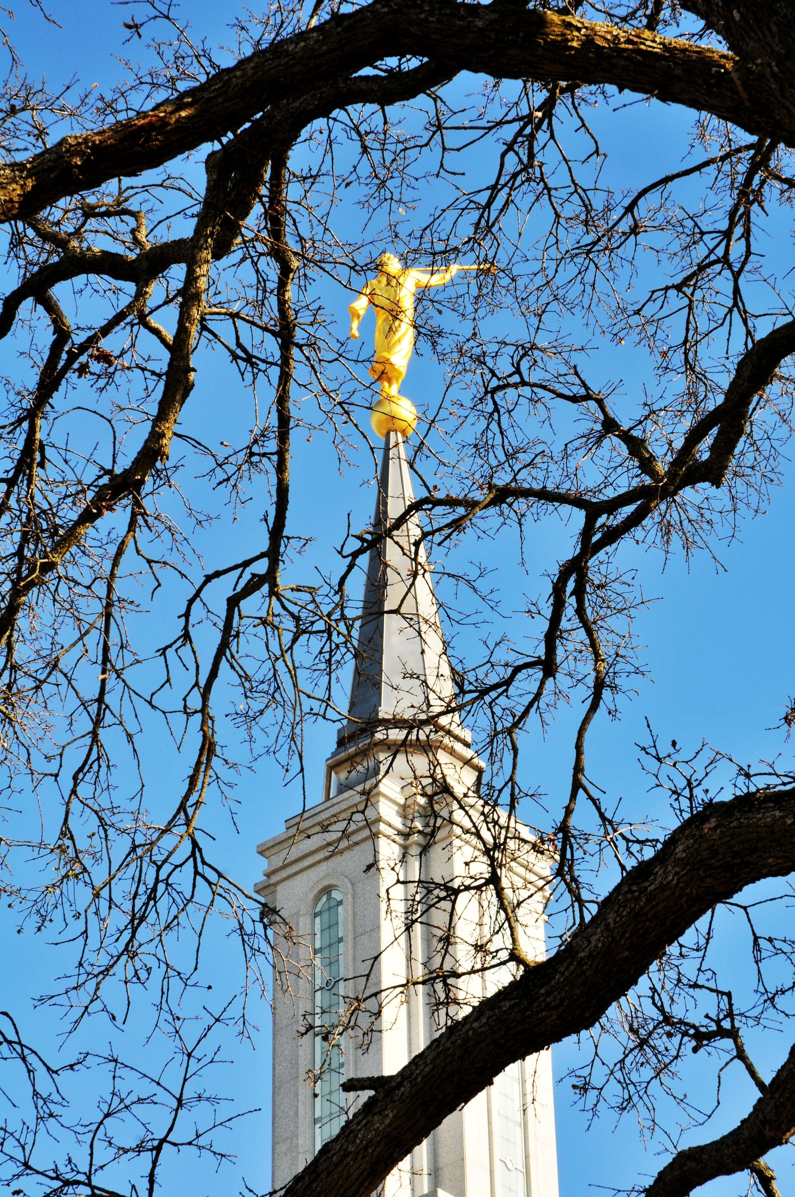 Sacramento California Temple Spire