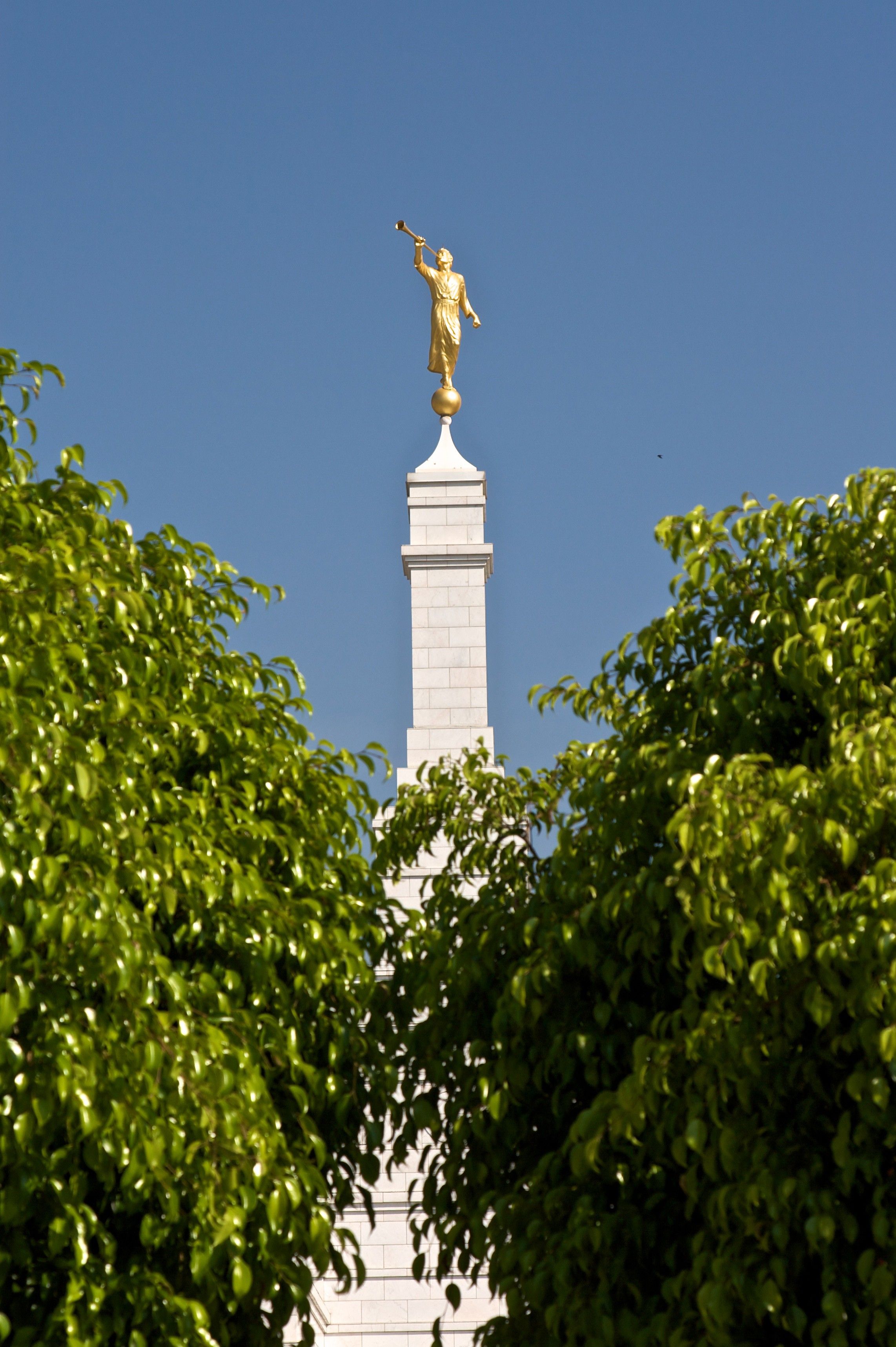 Angel Moroni of the Denver Colorado Temple