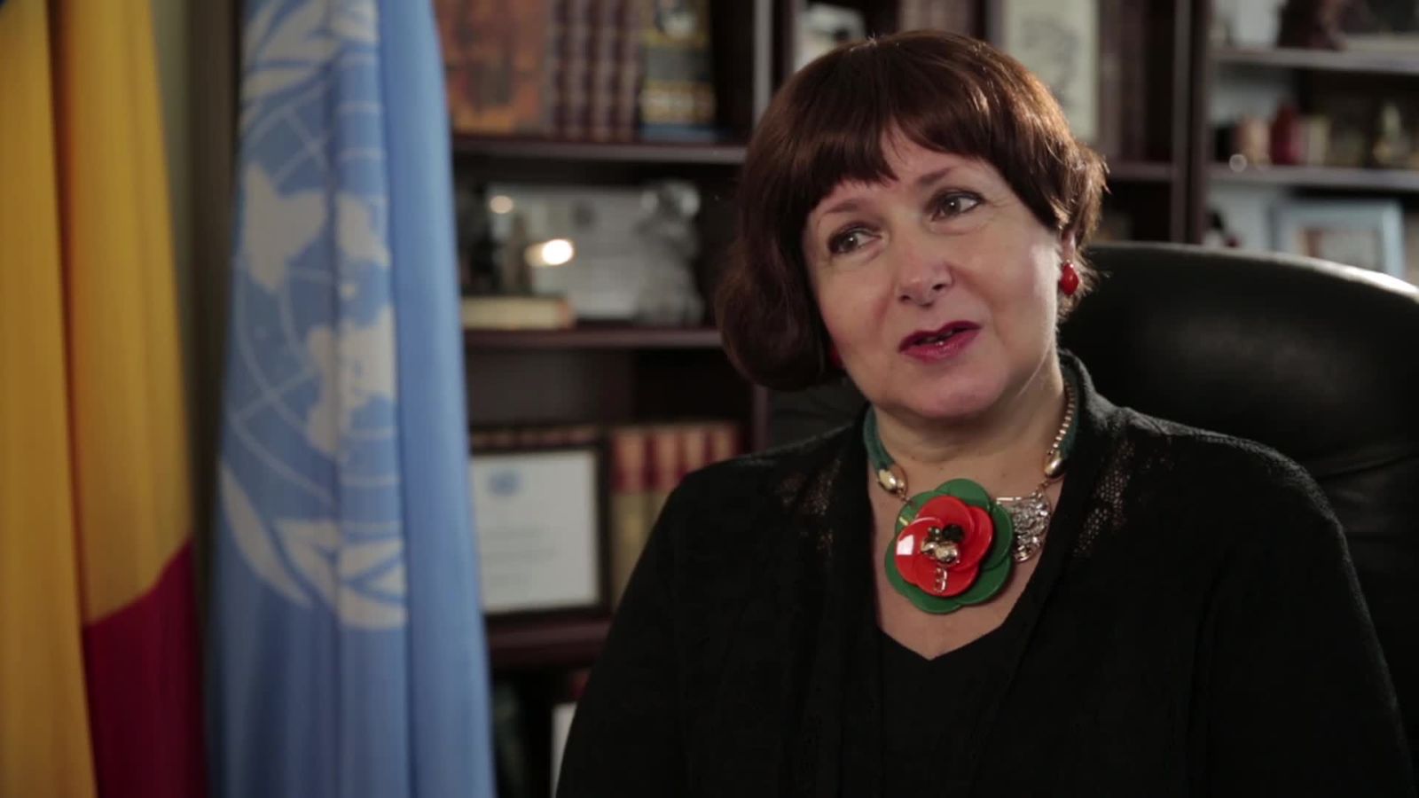 Simona-Mirela Miculescu: Representative of Romania to the United Nations